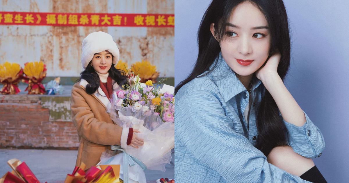 Sốc: Triệu Lệ Dĩnh dính nghi án trốn thuế sau Đặng Luân, con số lên đến hơn 160 tỉ | Showbiz 24h ...