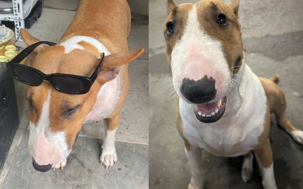 Mr. Gold gây sốt trong "Tiệm phở của anh Hai", hóa ra ngoài đời siêu ...