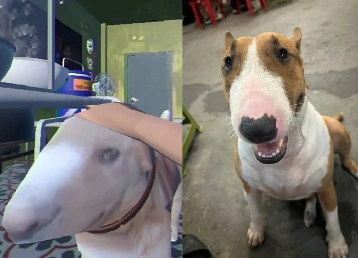 Mr. Gold gây sốt trong "Tiệm phở của anh Hai", hóa ra ngoài đời siêu ...