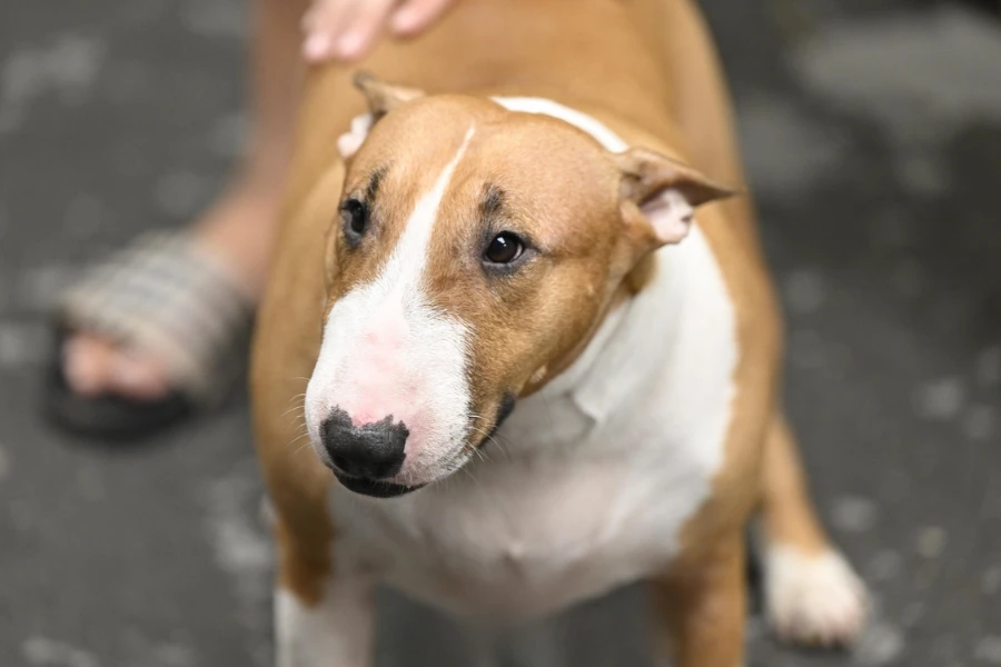 Mr. Gold gây sốt trong "Tiệm phở của anh Hai", hóa ra ngoài đời siêu ...